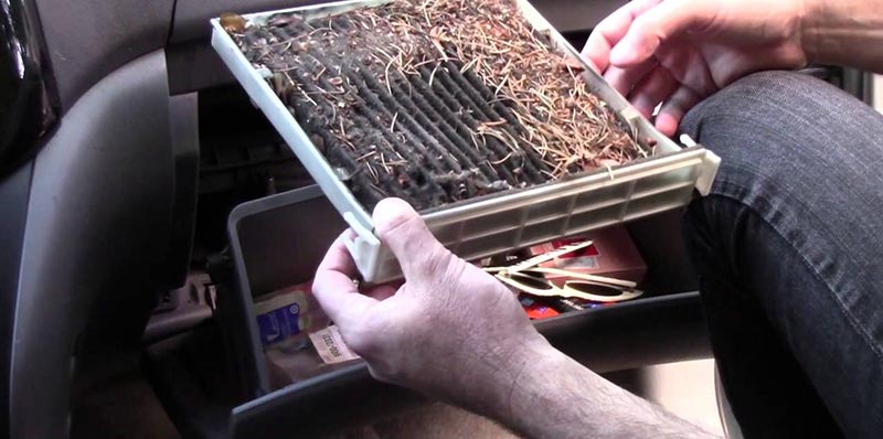 When and why you should change your cabin air filter! | LMEM